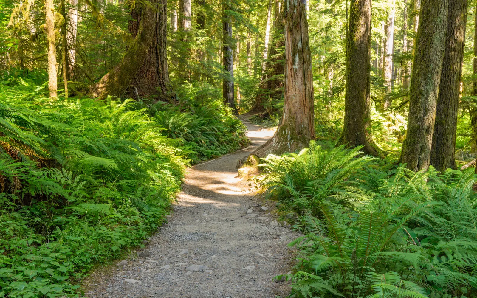 Recreation, Parks & Facilities Department | Otonabee-South Monaghan