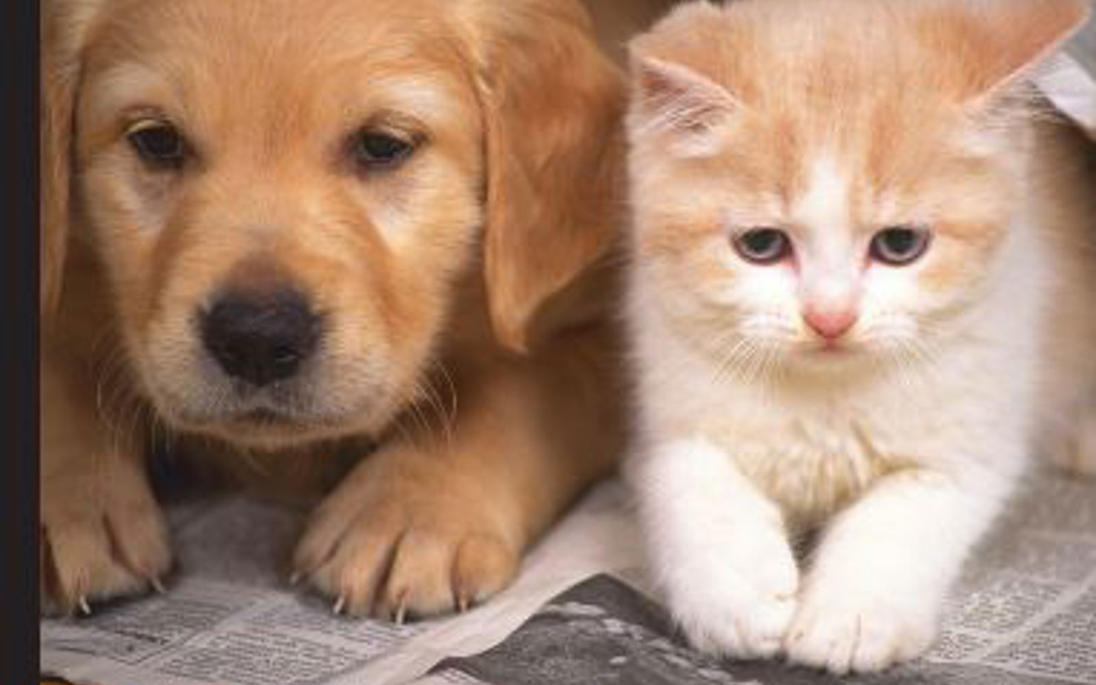 Emergency Preparedness | Otonabee-South Monaghan